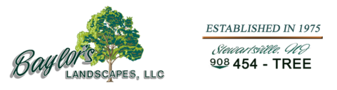 Landscape Design, Plantings, Hardscapes Baylor’s Landscapes NJ